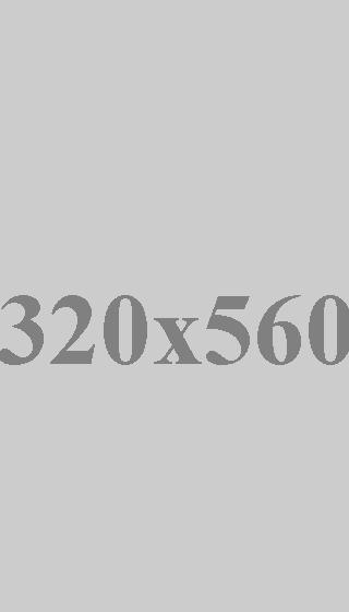 App 6 | Red de Gestión Inclusiva y desastres